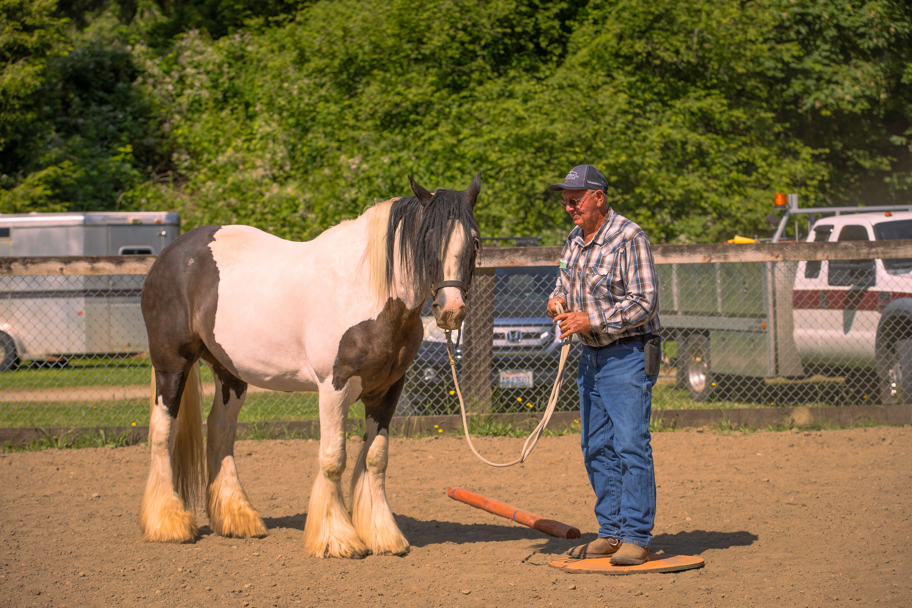VIRTUAL Class 1 - NOVICE Obstacle Trail In Hand | Trinity Trail Events