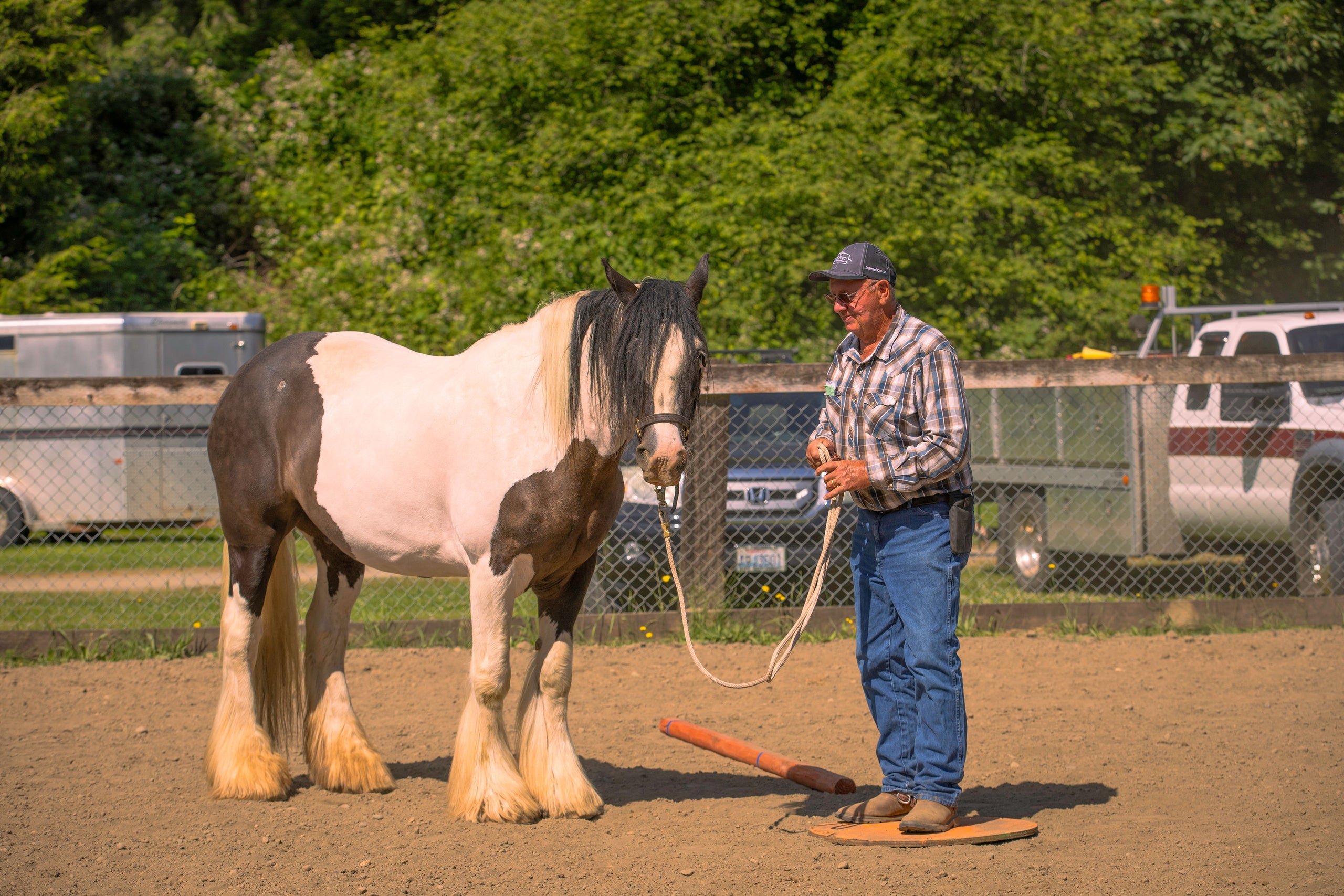 VIRTUAL Class 1 - NOVICE Obstacle Trail In Hand | Trinity Trail Events